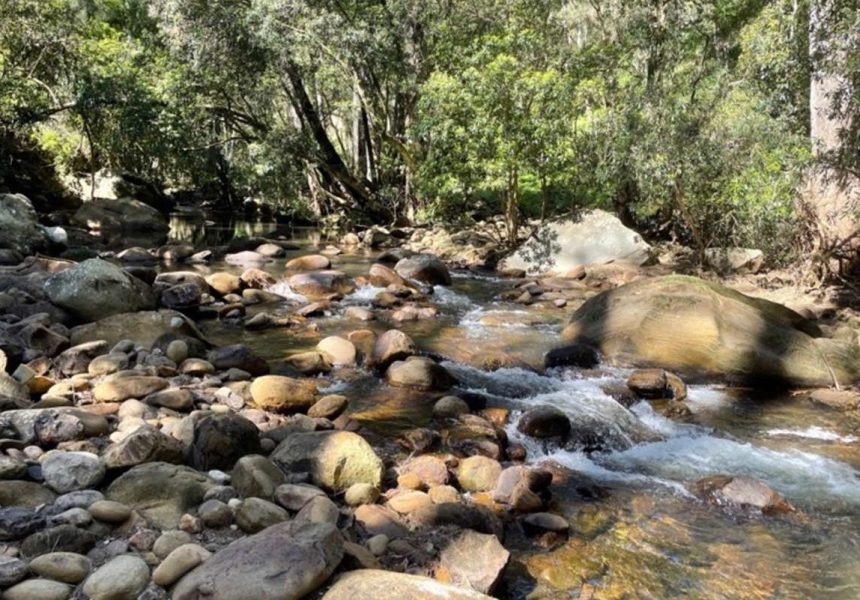 Things To Do in Kangaroo Valley | Jingella Estate